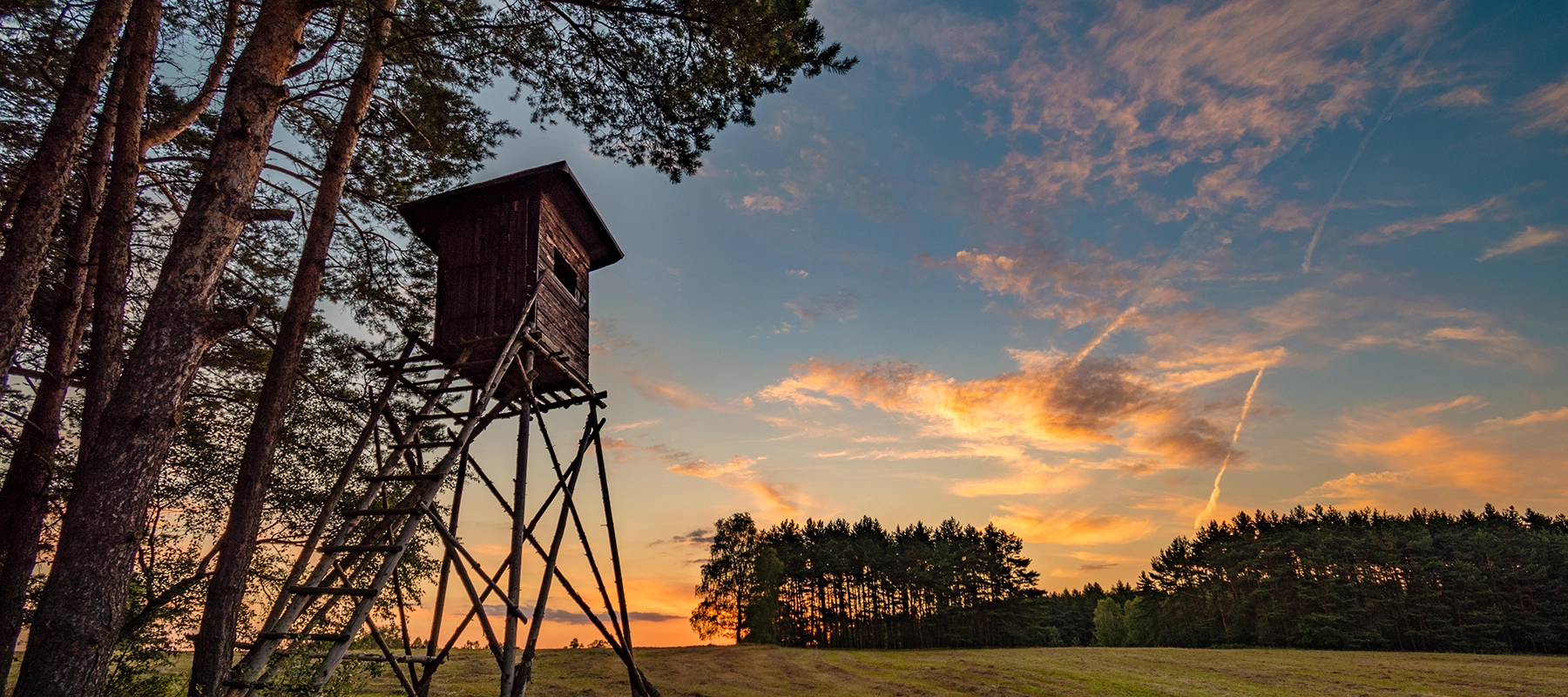 Rayonier | Outdoor Brand Success Story | Watauga